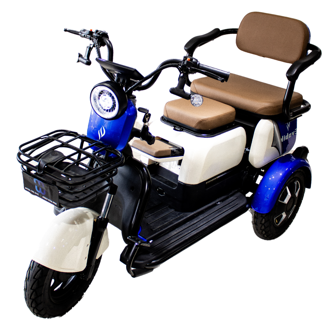 FAMILY - magnetotechmobility.com